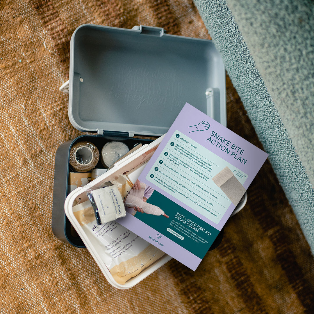 Snake Bite Action Plan: What To Do If Bitten By A Snake