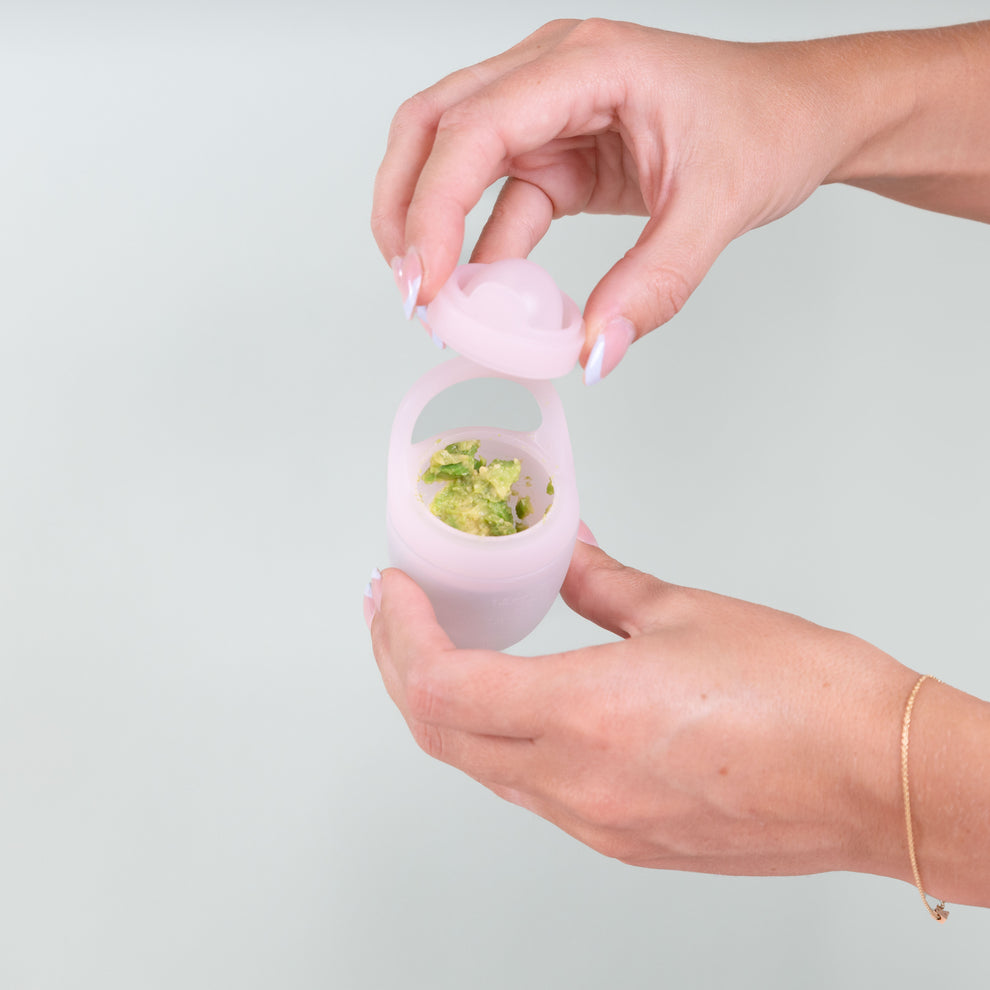 Fresh Food Feeder (2 Pack) for Babies | Tiny Hearts