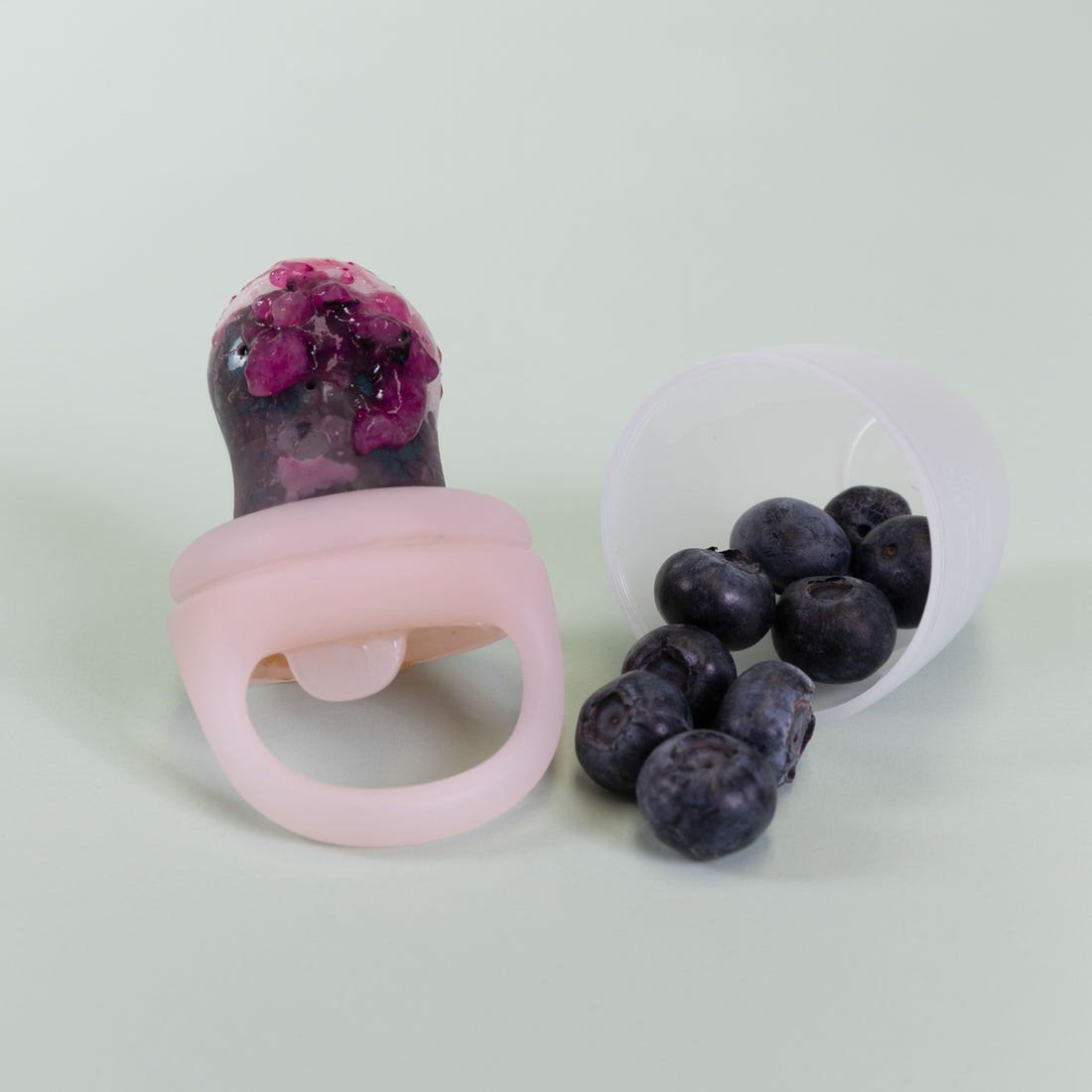 Fresh Food Feeder (2 Pack) for Babies | Tiny Hearts