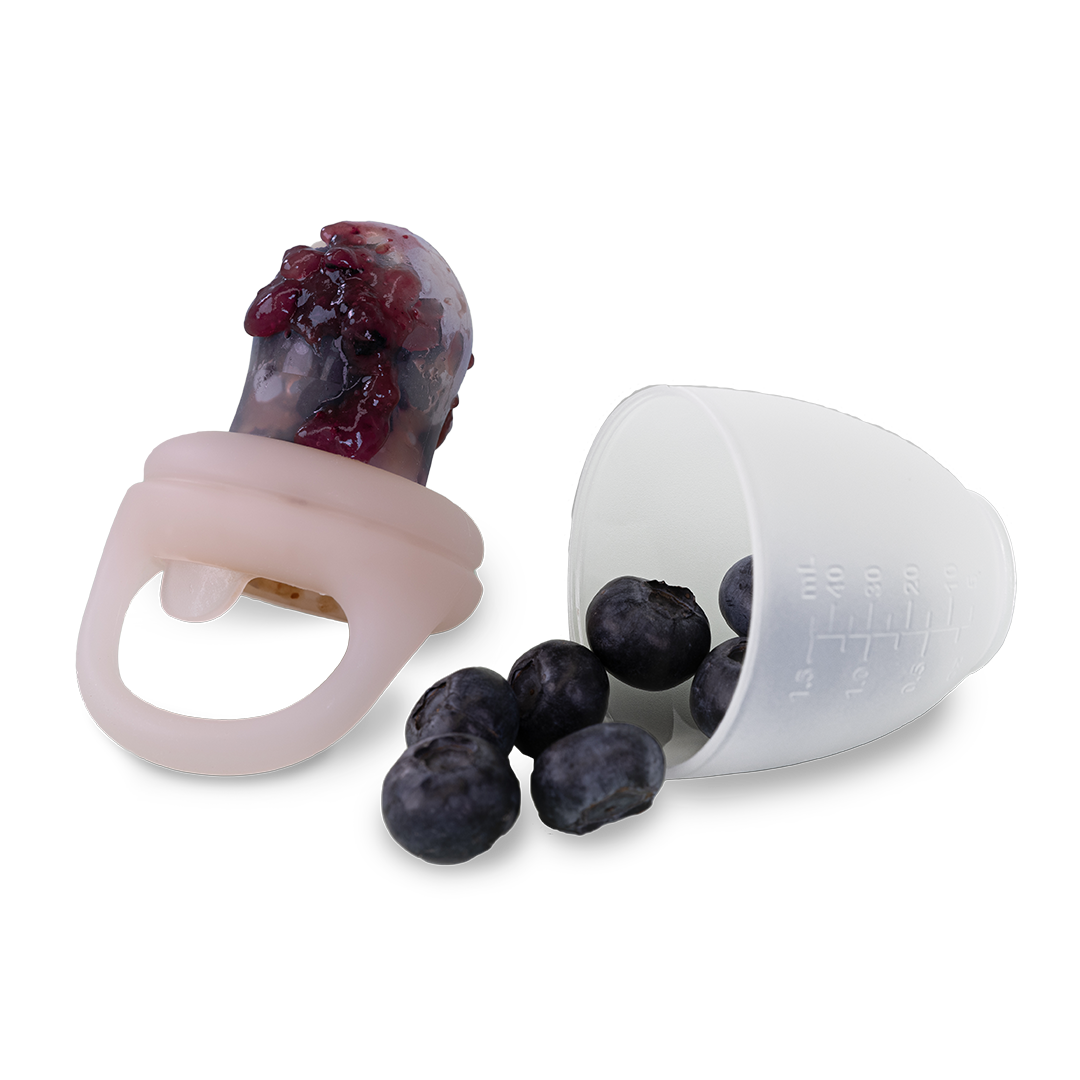 Fresh Food Feeder (2 Pack) for Babies | Tiny Hearts